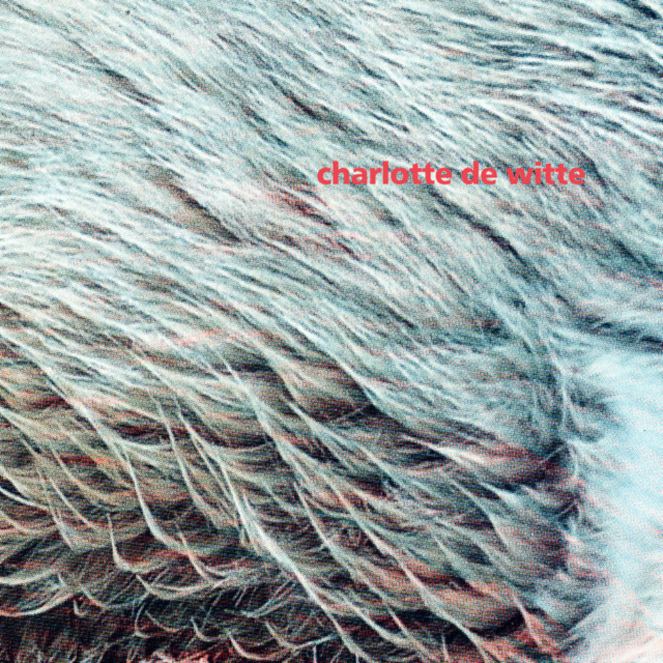 Car tula Frontal de Charlotte De Witte - Vision (Ep) - Portada